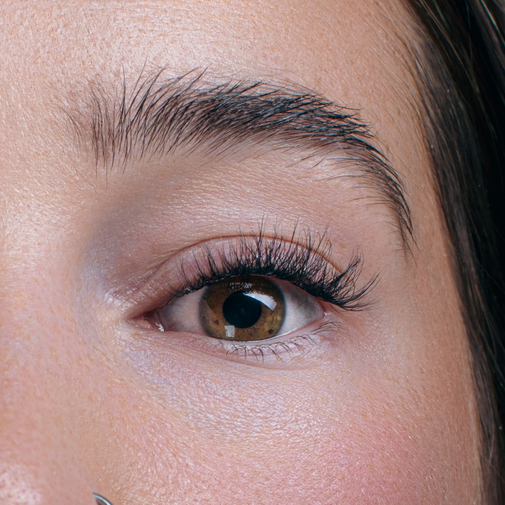 Lushy Lashes – i:licious